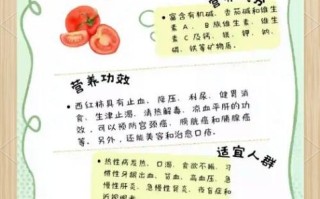 西红柿有什么营养_西红柿的功效与作用