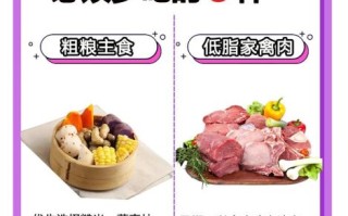 怀孕前三个月禁忌食物_怀孕前三个月注意事项