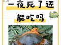 螃蟹死了一夜还能吃吗_死了的螃蟹多久不能吃