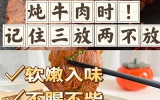 牛肉怎样炖_炖牛肉怎么做好吃又烂