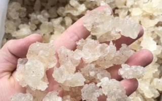 雪燕价格多少钱一斤_雪燕为什么这么贵