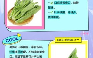 莴笋叶和油麦菜的区别_哪个更有营养