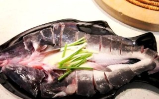 野生鮰鱼多少钱一斤_如何辨别真假野生鮰鱼