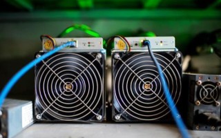 蜜蜂矿池怎么样_蜜蜂矿池收益高吗