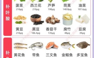 孕妇吃什么菜好消化又养胃_孕期养胃蔬菜推荐