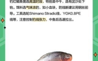 红鲳鱼市场价多少钱一斤_红鲳鱼价格走势