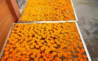 杏干怎么做_家庭自制杏干方法