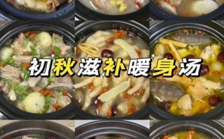 秋冬滋补汤有哪些_家常炖菜怎么做