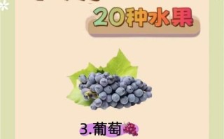产妇吃什么水果下奶_哪些水果催奶效果好