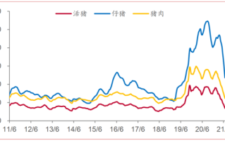 2021年下半年猪价走势_猪价还会涨吗