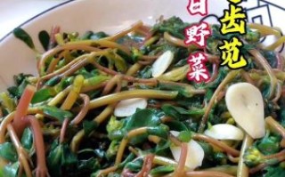 凉拌马齿苋怎么做_马齿苋焯水几分钟