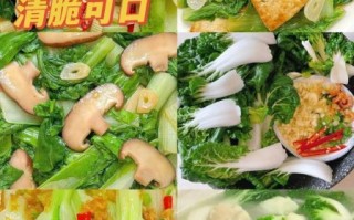 奶油白菜是哪里的菜_奶油白菜正宗做法