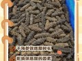 干海参放了5年还能吃吗_干海参保质期多久