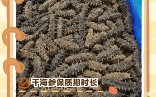 干海参放了5年还能吃吗_干海参保质期多久