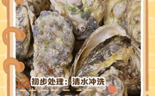 生蚝怎么开壳_生蚝怎么清洗才干净