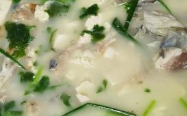 鱼头豆腐汤怎么做_鱼头豆腐汤怎么做好喝