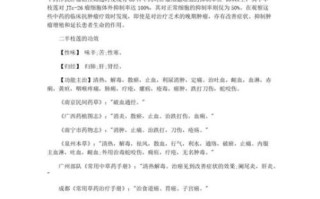 半枝莲的功效与作用_半枝莲能治哪些病