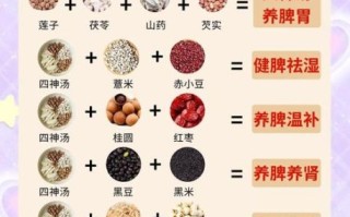 什么粥养胃_养胃粥的做法大全