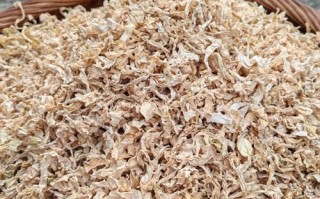 高丽菜和包菜的区别_哪个更有营养