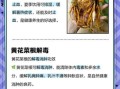 黄花菜泡水喝的功效_黄花菜泡水喝的禁忌