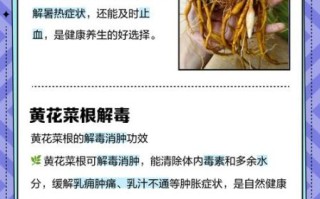 黄花菜泡水喝的功效_黄花菜泡水喝的禁忌