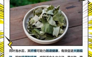女人长期喝荷叶水好吗_荷叶水副作用