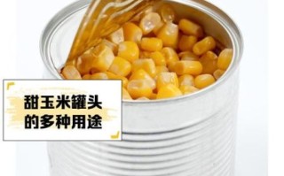 甜玉米罐头怎么做好吃_家常做法大全
