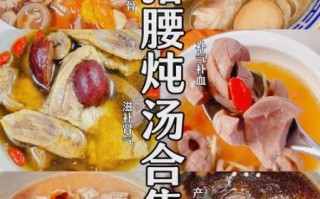 猪腰子炖汤的做法大全_猪腰子炖汤怎么去除腥味