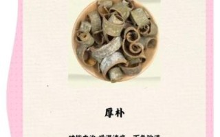 厚朴的功效与作用_厚朴能长期吃吗