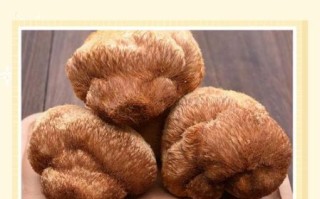 猴头菇怎么洗才干净_猴头菇清洗的正确方法