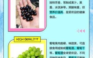 黑加仑和葡萄的区别_黑加仑是葡萄吗