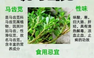 马齿苋禁忌致命_马齿苋中毒怎么办
