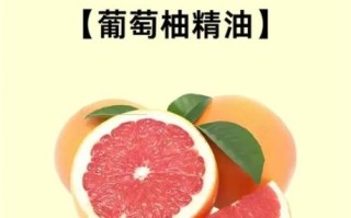 葡萄柚的功效与作用_葡萄柚能减肥吗
