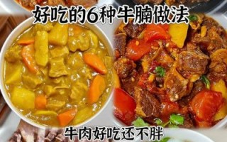 洋葱牛腩怎么做好吃_牛腩炖多久才软烂