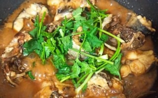 红烧鲶鱼怎么做好吃_家常红烧鲶鱼做法