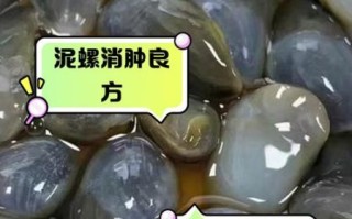 泥螺卵为什么是透明的_泥螺卵透明原因