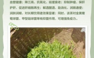 茅岩莓茶的功效与作用_茅岩莓茶怎么喝才有效