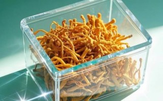 虫草花多少钱一斤_虫草花怎么煲汤好喝