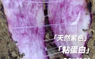 紫色大薯的功效与作用_紫色大薯的禁忌有哪些