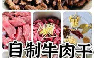 牛肉干怎么做好吃_家庭自制风干牛肉干教程