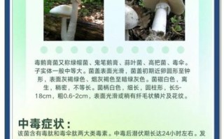 毒蘑菇种类有哪些_误食后如何急救