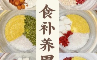 护胃养胃的食物有哪些_胃不好吃什么调理