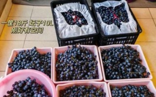 自酿山葡萄酒的制作方法_如何去除苦涩味