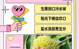 生板栗怎么剥壳_生板栗快速去皮方法