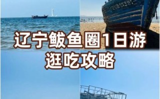 营口鲅鱼圈一日游攻略_鲅鱼圈一日游怎么玩