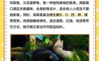 菠萝鱼好养吗_菠萝鱼饲养难度