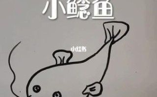 鲶鱼图片卡通怎么画_鲶鱼卡通简笔画教程