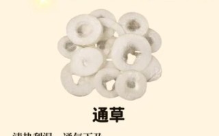 产妇用通草催奶的禁忌_通草下奶哪些情况不能吃