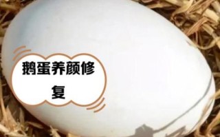 鹅蛋怎么吃最营养_鹅蛋的七种吃法