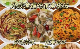 莲耦怎么做好吃_莲耦的做法大全